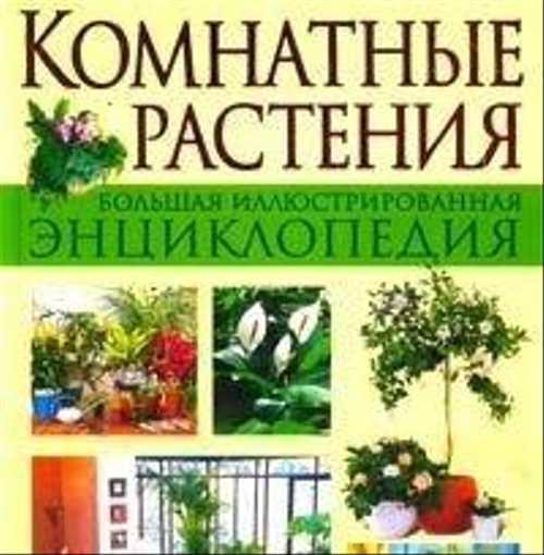 Энциклопедия "Комнатные растения"