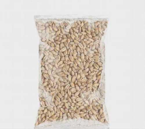 Пшеница, кукуруза для самогона, 1 кг