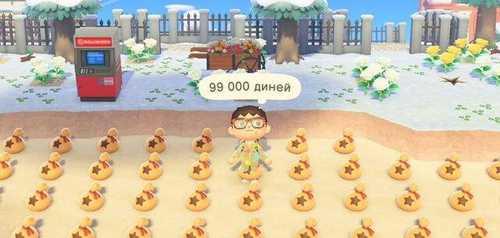 Animal Crossing New Horizons: Билеты Нука, Дини