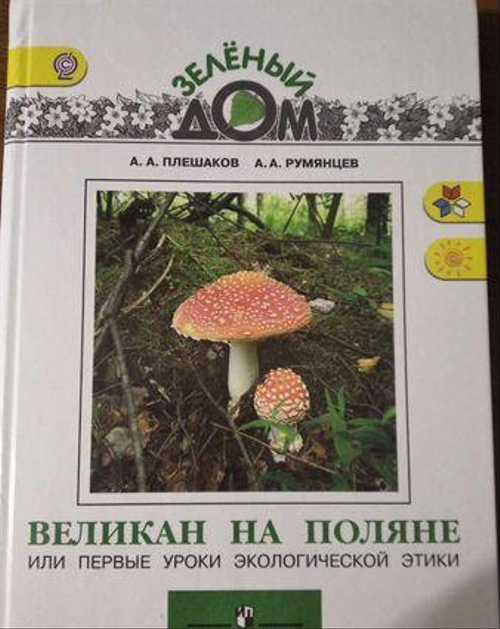 Великан на поляне или первые уроки экологической э