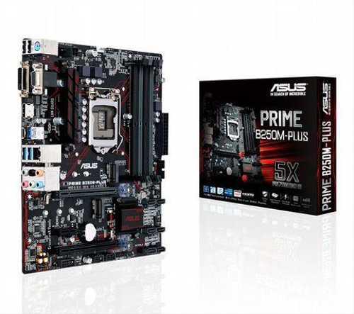 Asus prime b250m-plus