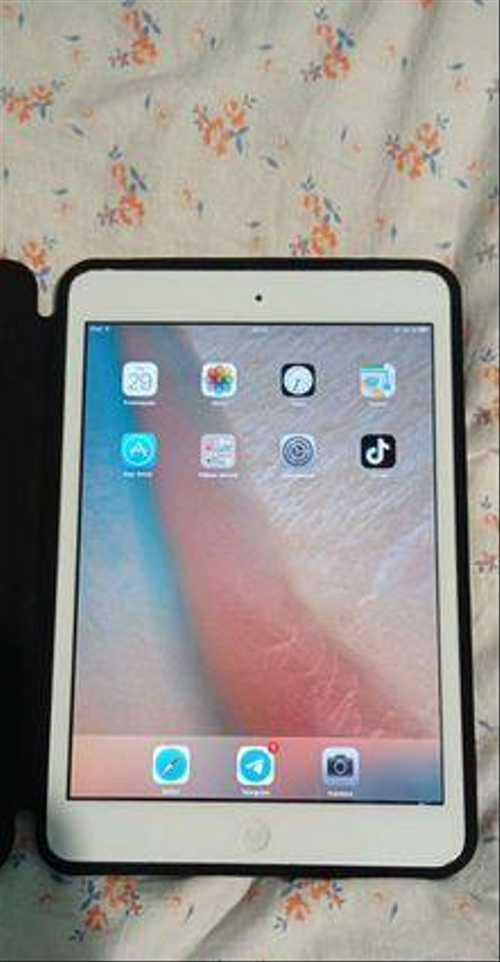iPad mini