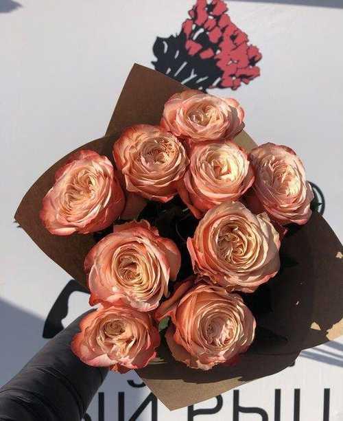 9 Импортных пионовидных роз "Kahala"