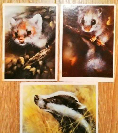 Открытки СССР 1988-89 гг