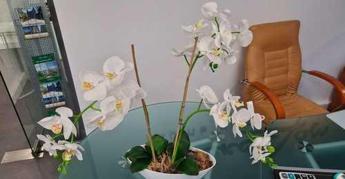 Цветочная композиция из белых орхидей