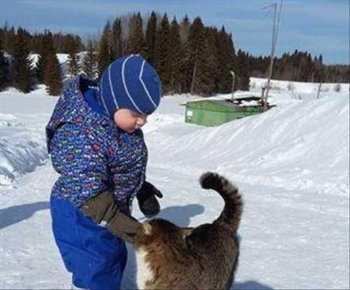Комбинезон детский caimano каймано, рост 74см