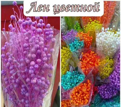 Цветной Лён Пшеница Пальма и др