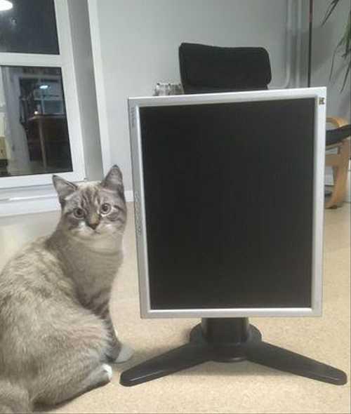 ЖК монитор LCD 17" (ViewSonic VP171s)