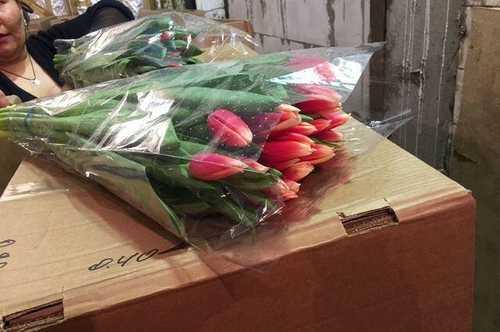 Тюльпаны новосибирск розница. Фото продажи тюльпанов Новосибирск 2023.