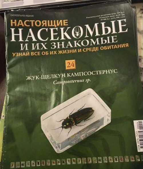 Насекомые и их знакомые