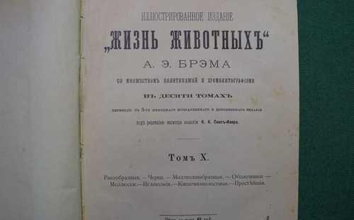 Брэм, Брем. Жизнь животных Брема, том 10. Царизм