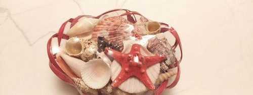 Подарочный набор морских ракушек с черного моря