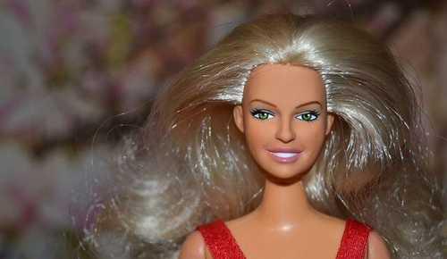 Barbie anderson