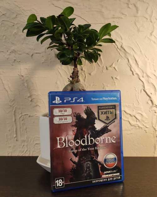 Bloodborne goty