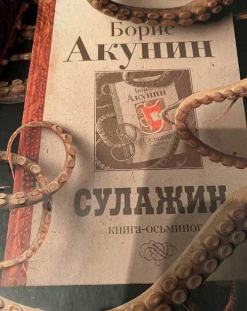 Акунин книга сулажин. Сулажин Борис Акунин книга все вердикты.