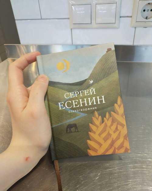 Книга стихотворений Есенина и Пушкина