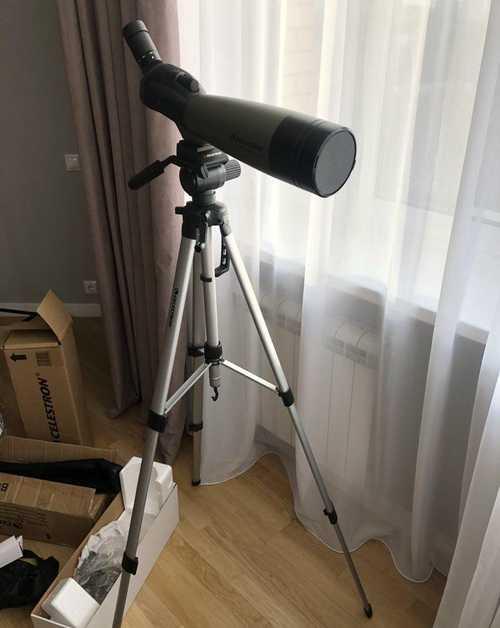 Зрительная труба Celestron Ultima 100 - 45 Angled