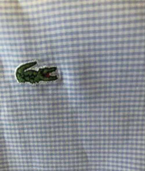 Рубашка lacoste женская