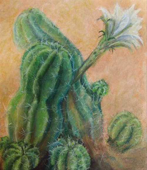 Рисунок "Цветущий кактус. The Blooming cactus", 20
