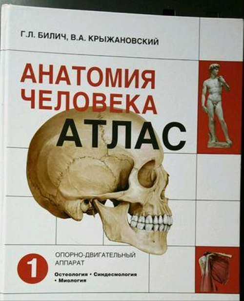 Атлас анатомии Билич Крыжановский. Билич атлас анатомии человека. Анатомический атлас Крыжановский. Атлас анатомии Билич том 2.