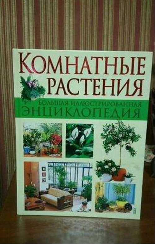 Энциклопедия комнатных растений