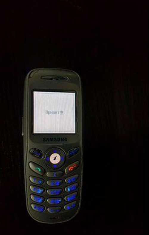 Samsung sgh-x100