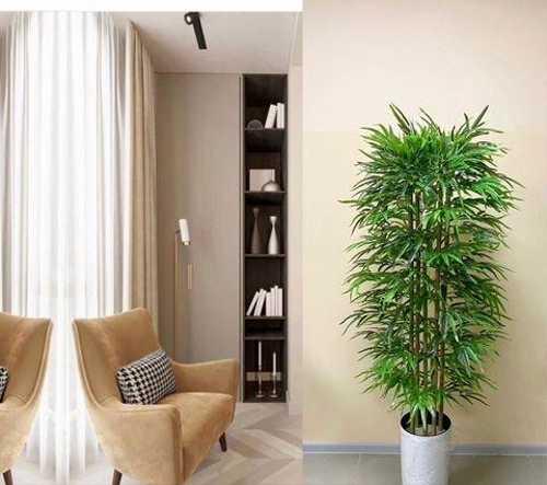 Бамбук Золотой Дракон 140 см - растение искусствен