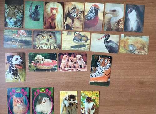 Календарики. Животные