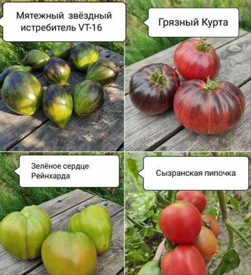Семена редких и экзотических томатов 3