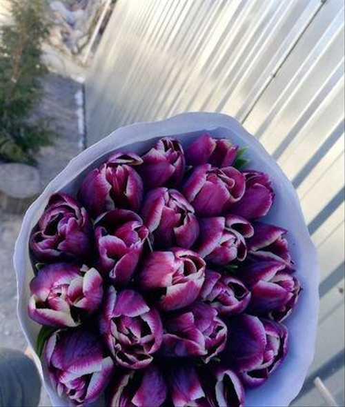 Букеты фиолетовых и красных тюльпанов к 8 Марта