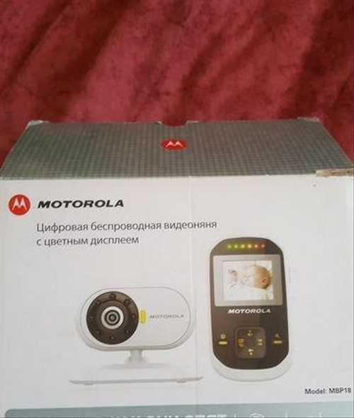 Видеоняня motorola