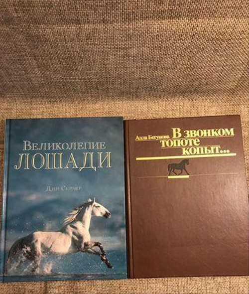 В звонком топоте копыт. Алла Бегунова/ Великолепие