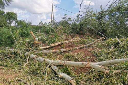 Отдам дрова бесплатно