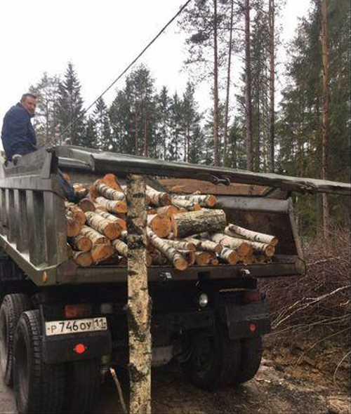 Дрова