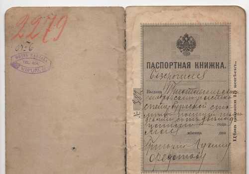Паспортная книжка 1917 года