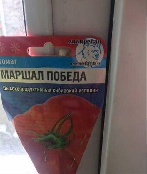 Рассада помидор, капусты доставка бесплатно