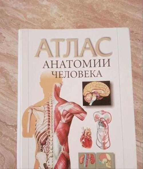 Атлас секционной анатомии. Большой атлас анатомии человека. Коричневый атлас по анатомии человека. Полный атлас анатомии человека. Мышечно-фасциальные цепи. Атлас патологической анатомии Зайратьянц.