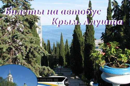 6.июн.21 Билеты на автобус.Алушта хп101.1-алш
