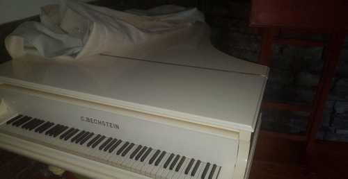 Рояль bechstein