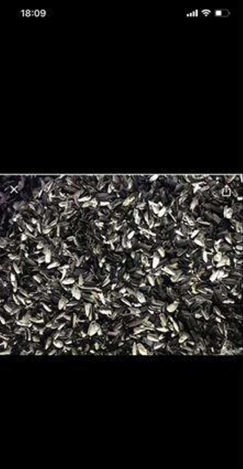 Лузга подсолнечника