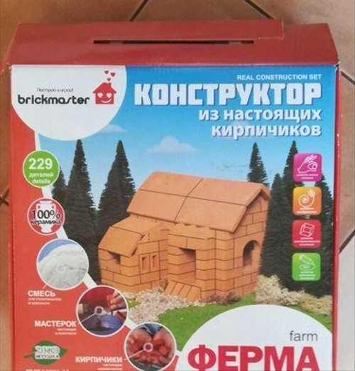 Конструктор детский из кирпичей brickmaster