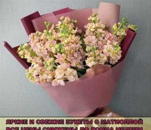 Букет Цветы Маттиола на выпускной