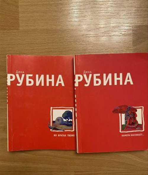 Дина Рубина «Камера наезжает», «Во вратах твоих»