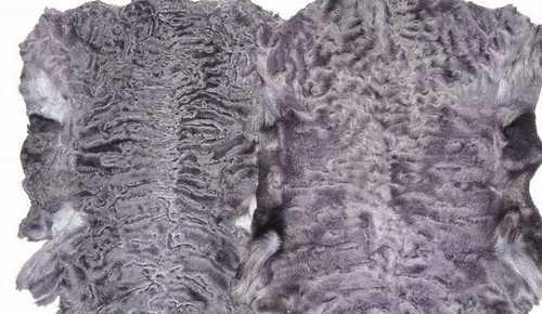 Каракуль разных цветов