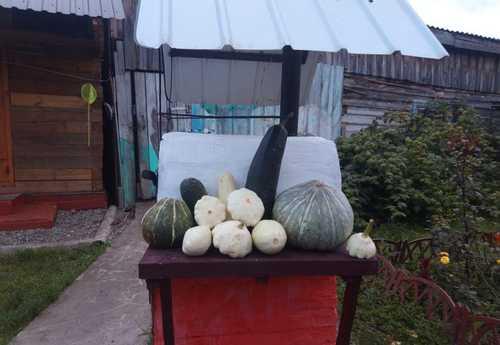 Продам кортовфель отборный