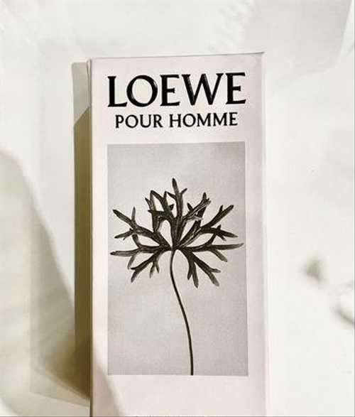 Loewe pour homme