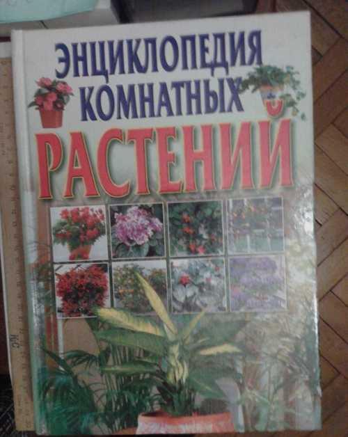 Энциклопедия комнатных растений