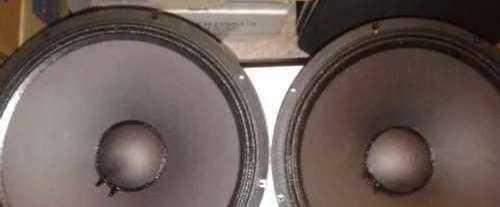 Динамики Нч EVM 400W A152C18 2шт Pro Midbass 8Ом