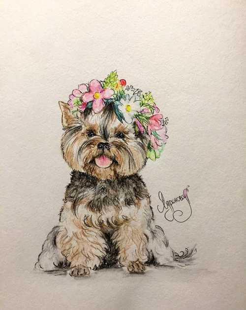 Собачка Милашка. Графика А4