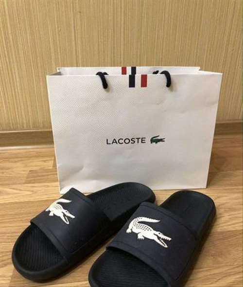 Новые сланцы Lacoste